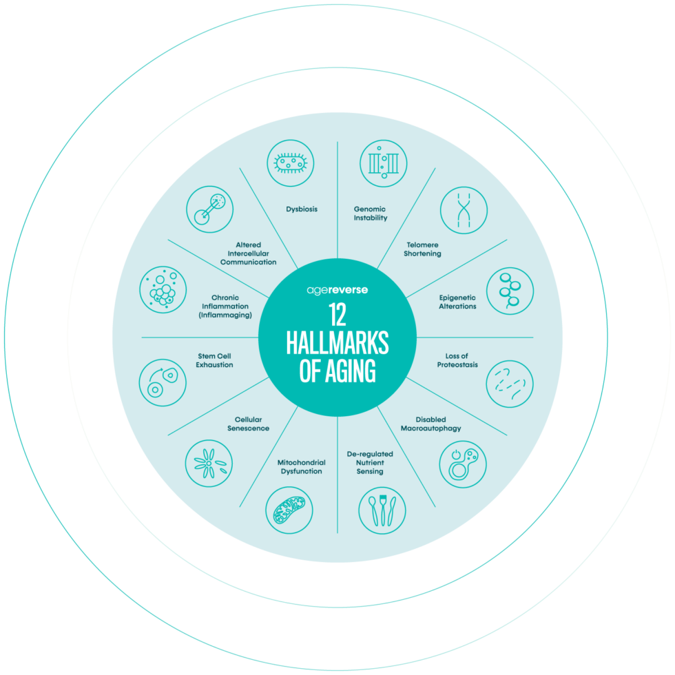 12 Hallmarks of Aging – Understanding the Biology of Longevity