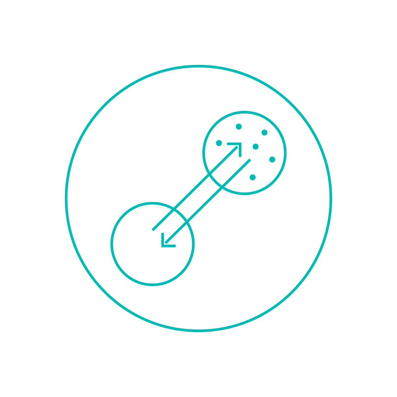 12 Hallmarks of Aging – Understanding the Biology of Longevity