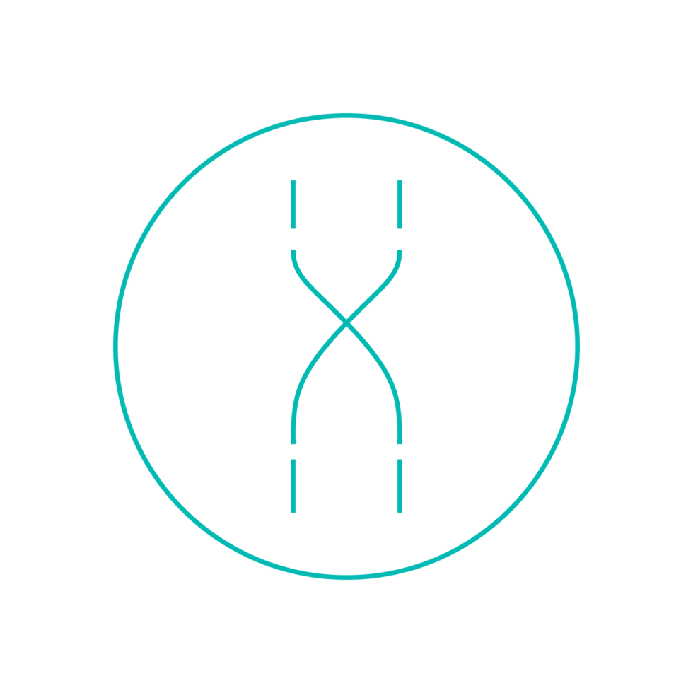 12 Hallmarks of Aging – Understanding the Biology of Longevity